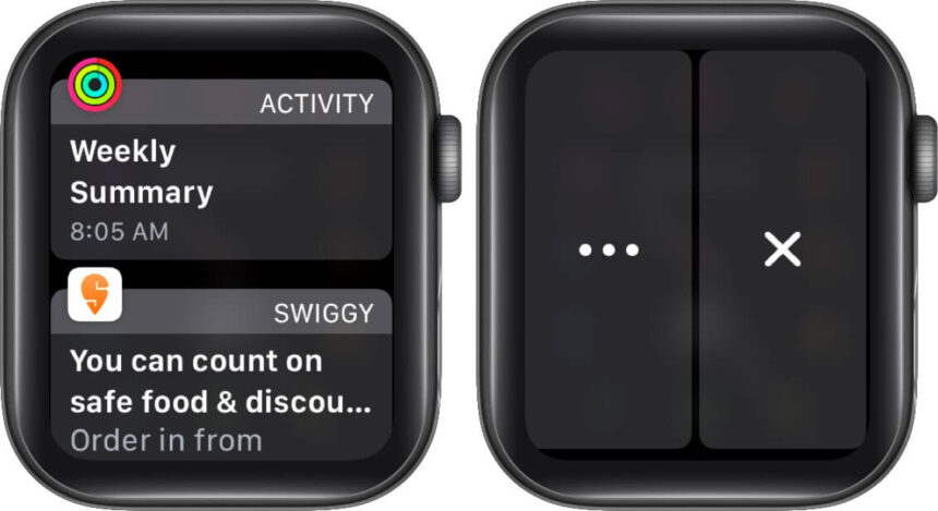 What is the Red Dot on Apple Watch and how to get rid of it? – iGeeksBlog
