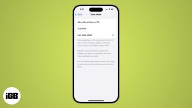 What is Low Data Mode on iPhone and how to enable it - iGeeksBlog