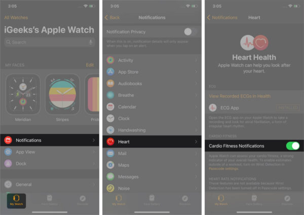 How to use Cardio Fitness on iPhone and Apple Watch – iGeeksBlog