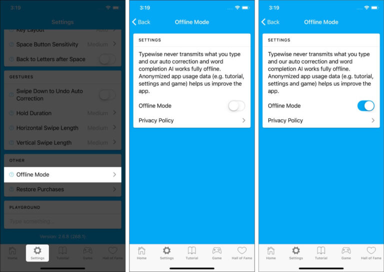 Typewise Custom Keyboard iOS app review: Effortless typing – iGeeksBlog