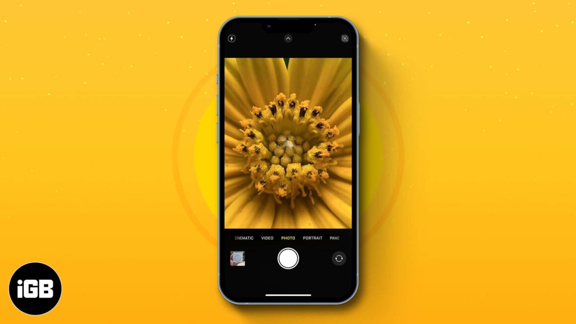 10 Fun and interesting facts about the iPhone