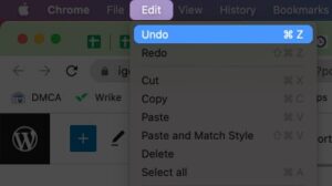 How to undo and redo on Mac – iGeeksBlog
