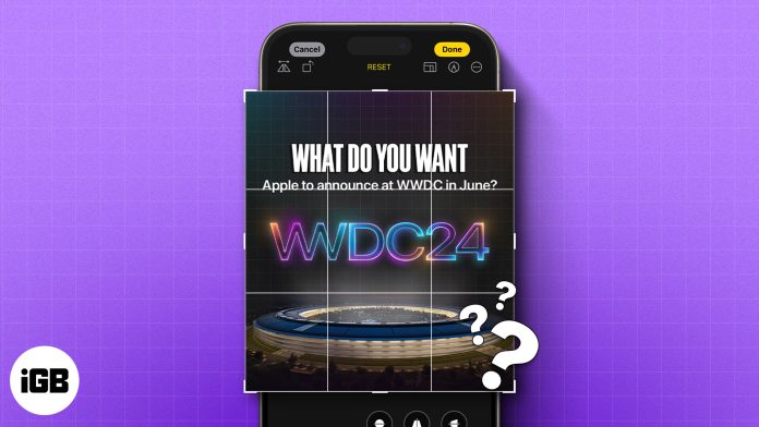 How to fix iPhone screen colors distorted or messed up - iGeeksBlog