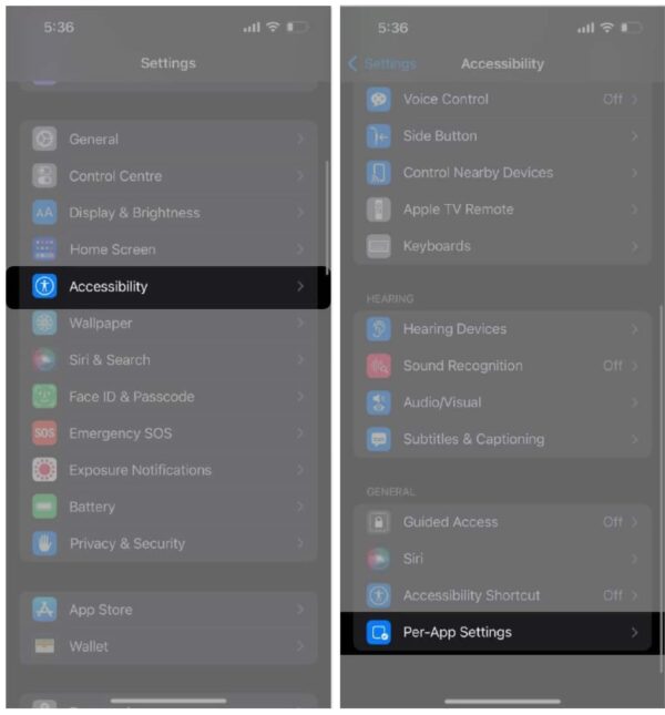 25 Must-Know Accessibility Tips For iPhone Users – iGeeksBlog