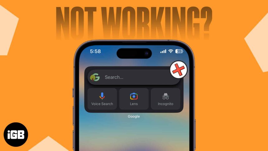 Google search not working on iPhone? 14 Ways to fix it! - iGeeksBlog