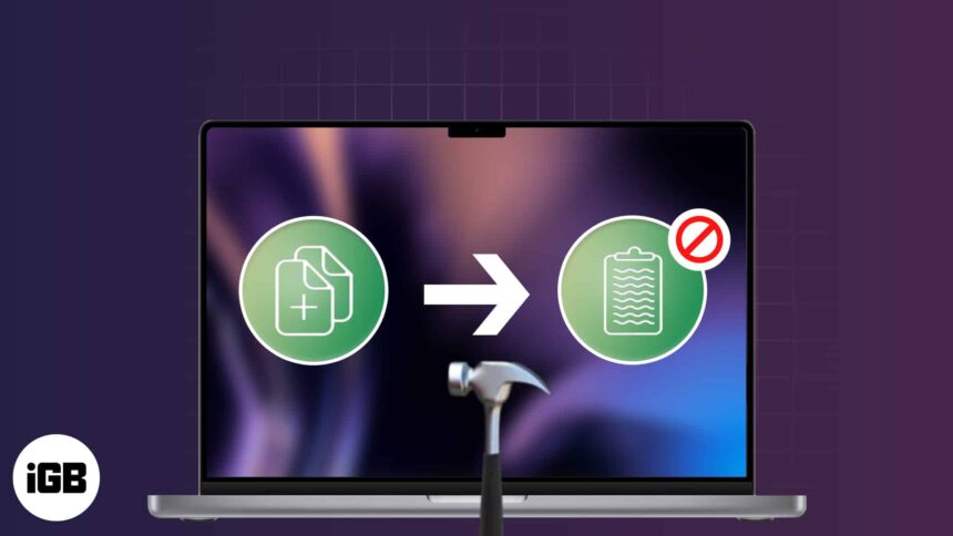 How to fix copy paste not working on Mac