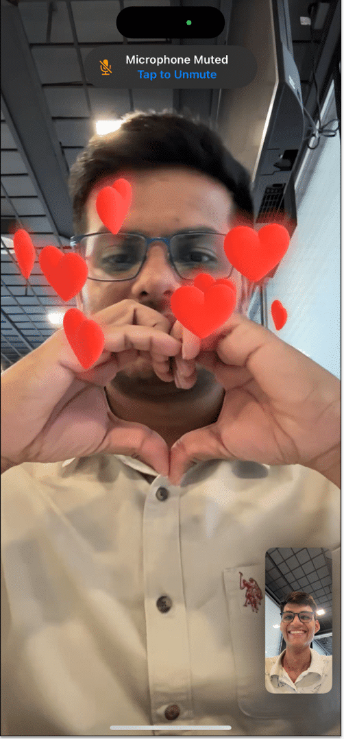 How to use FaceTime gestures on iPhone, iPad and Mac - iGeeksBlog