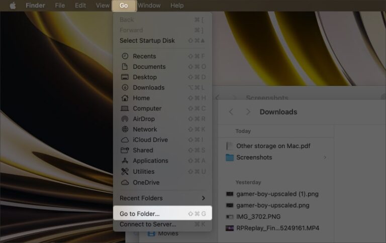 Easy Ways to Clear System Data on Mac (Beginner Guide) – iGeeksBlog