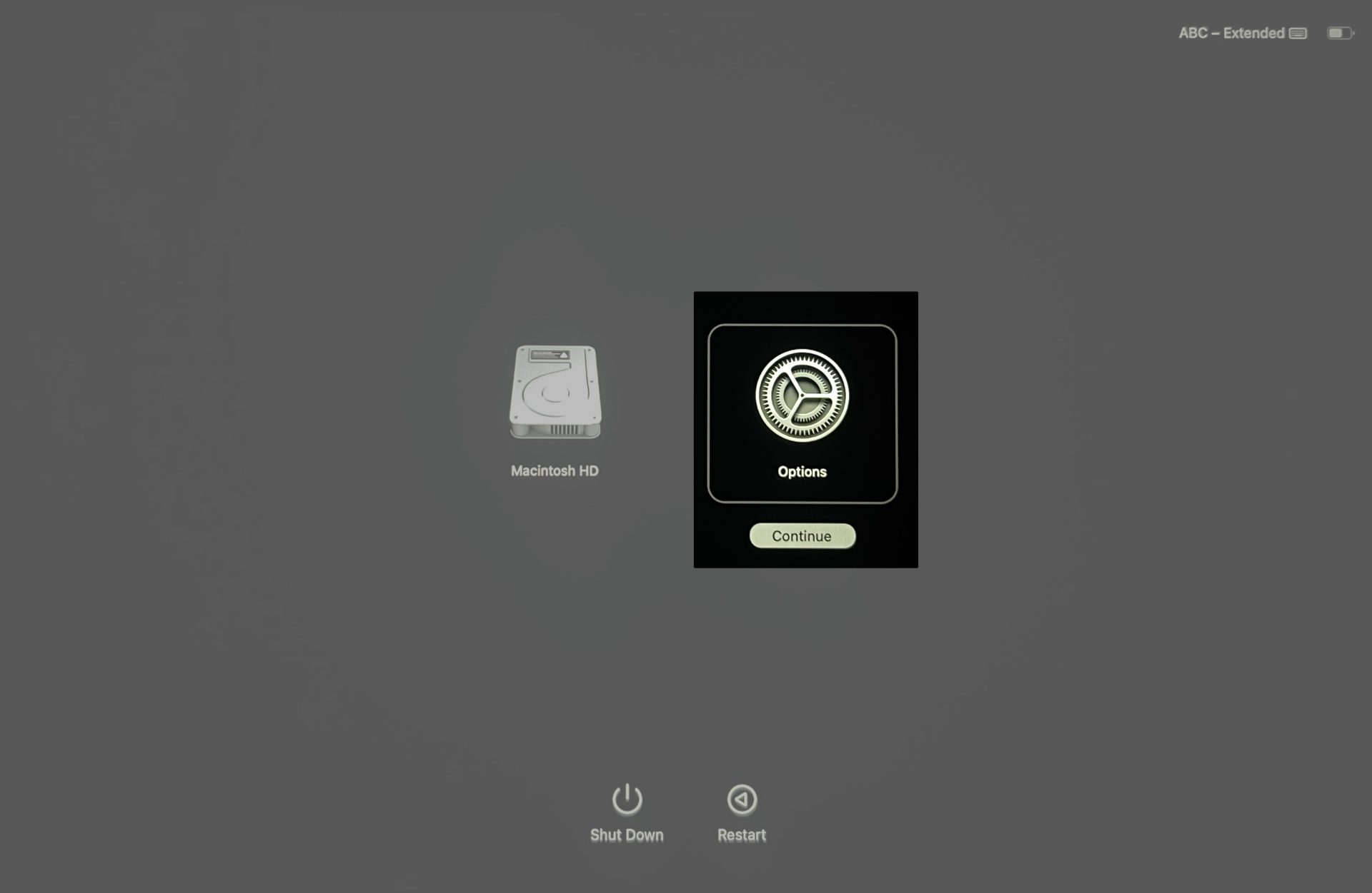 How to start Mac in Recovery Mode - iGeeksBlog