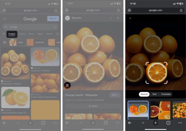 How to reverse image search on iPhone and iPad (2025 guide) - iGeeksBlog