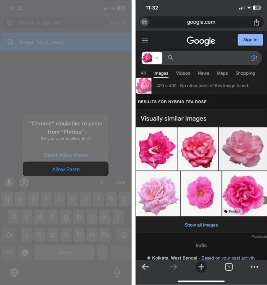 How to reverse image search on iPhone and iPad (Updated guide) – iGeeksBlog