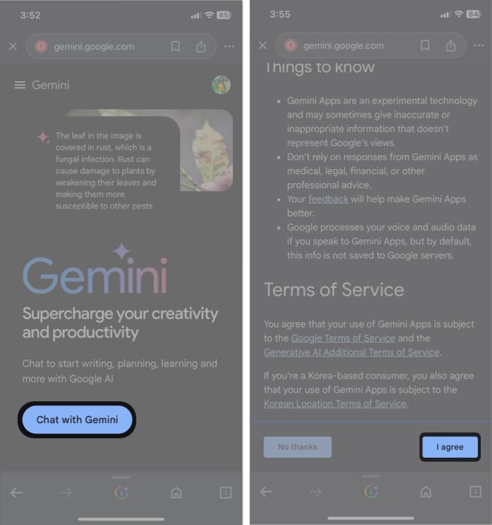 How to use Gemini AI on iPhone: A Complete Guide – iGeeksBlog