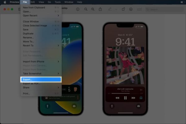 How to take a screenshot on Mac (Ultimate guide) – iGeeksBlog