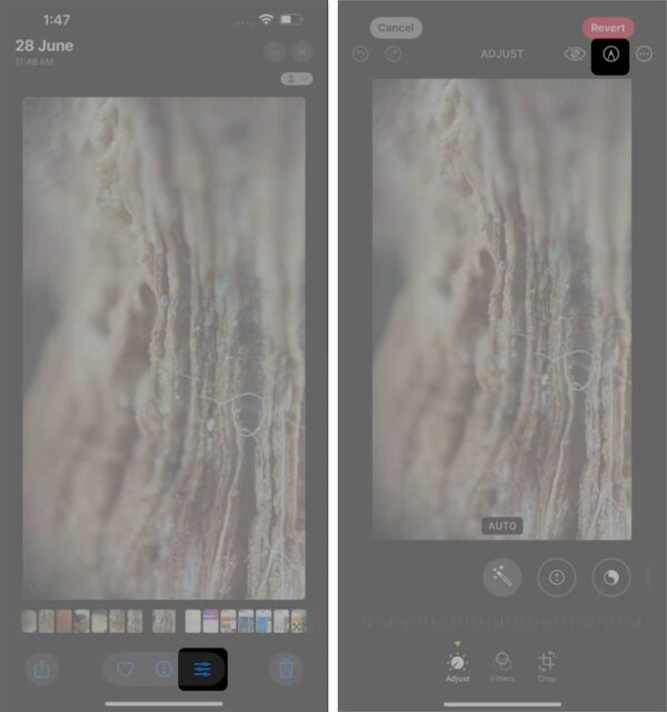 How to Use Markup on iPhone to Add Text, Shapes, and More – iGeeksBlog