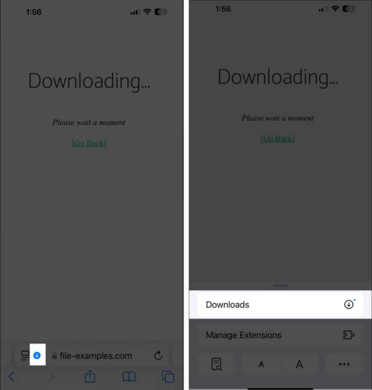 How to Manage Downloads in Safari on iPhone or iPad