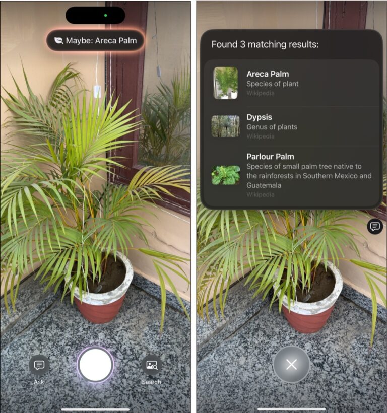 How to use Visual Intelligence on iPhone 16 like a pro