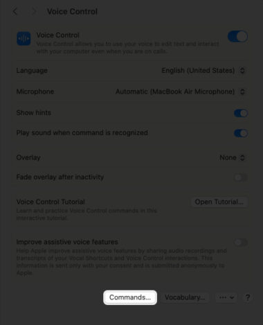 How to Use Voice Control on Mac to Navigate Hands-Free (Complete Guide ...